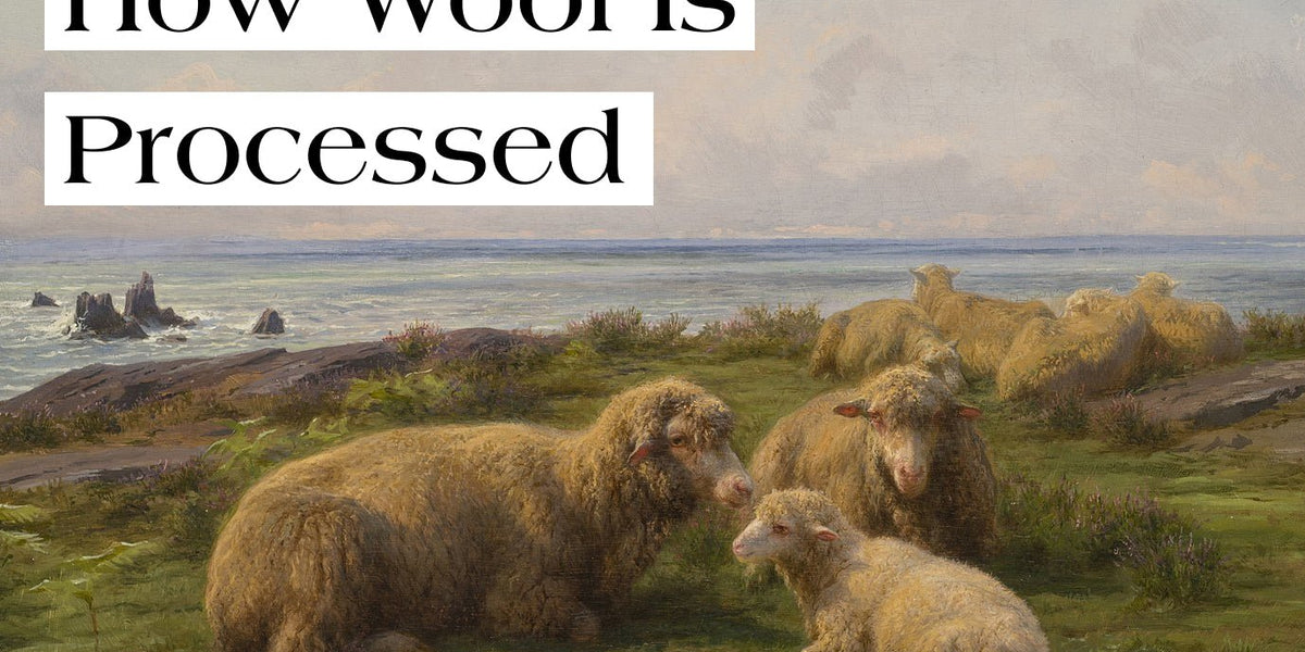 How Wool Is Processed For Wool Pillows | The Woolshire